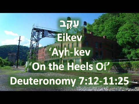 Eikev 2022 – Rewards and Punishments: What’s the Real Story? – The ...